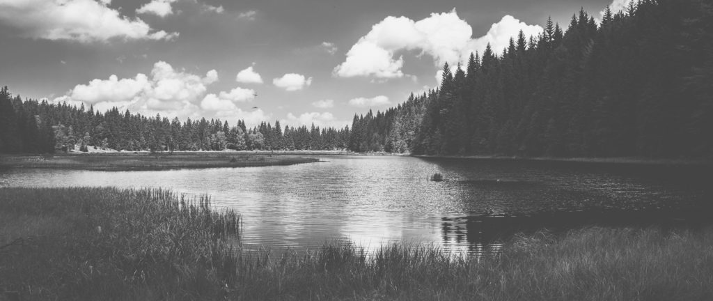 Termine - EGRW : EGRW